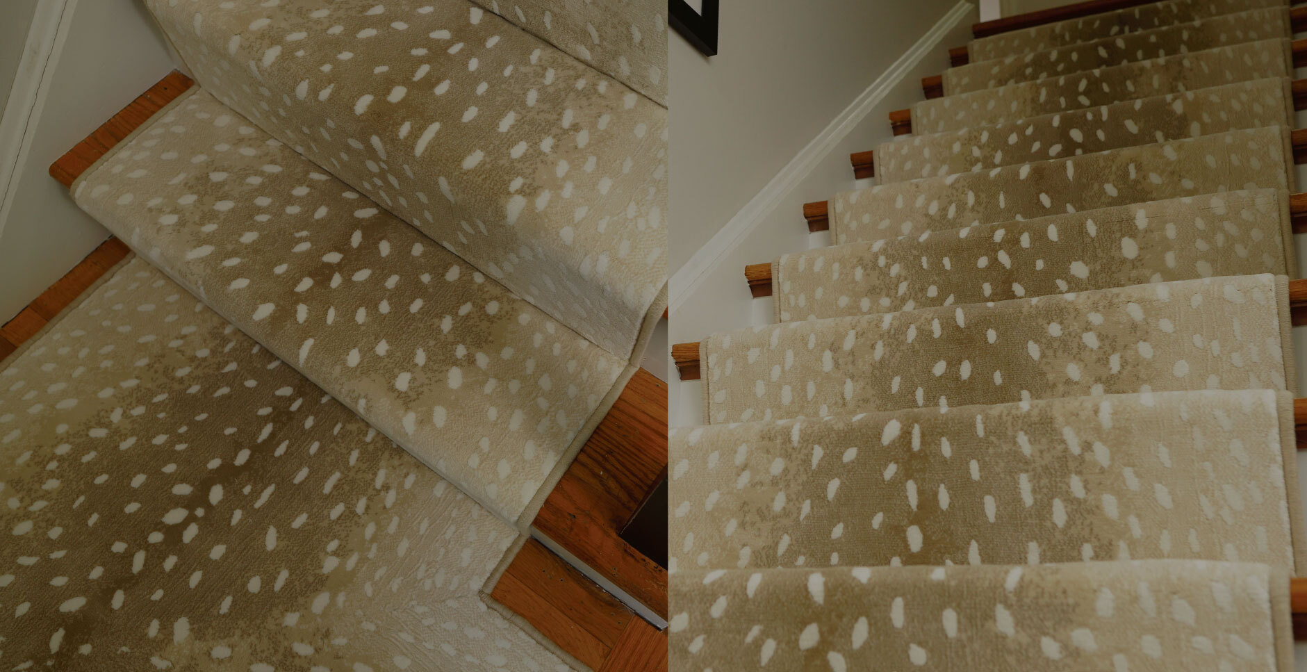 Rugs, Carpet, & Flooring - The Rug Gallery in Cincinnati